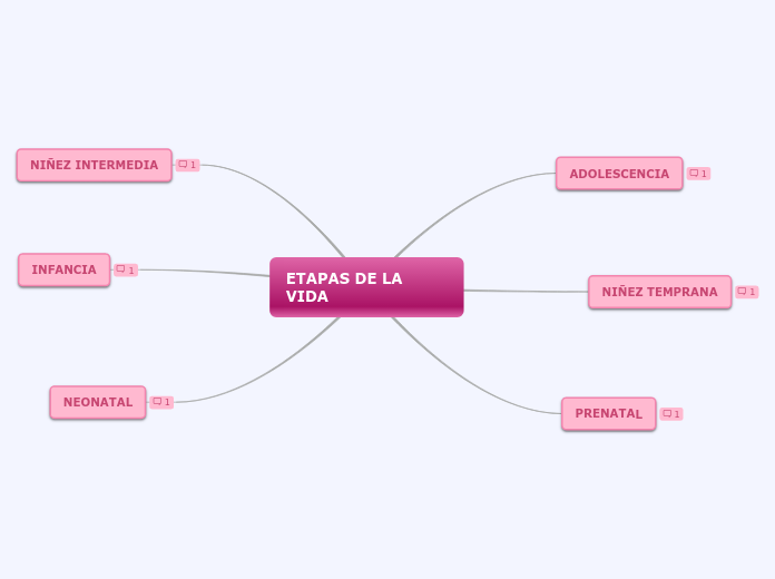ETAPAS DE LA VIDA - Mind Map